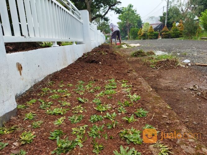 Jasa Tanam Rumput Dan Pembuatan Taman di Kota Bekasi, Jawa Barat ...