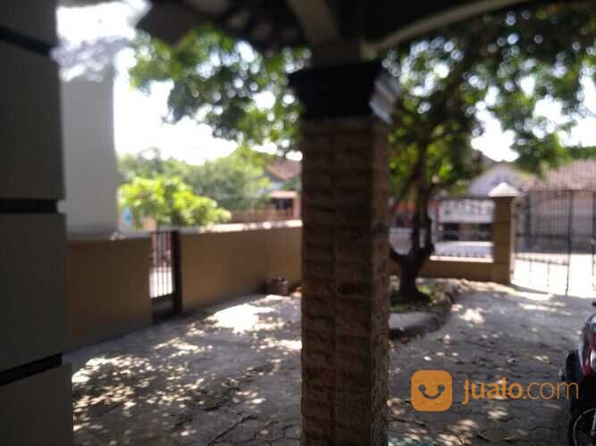 Rumah Besar dan Luas Dekat Kampus UAD 4 Jogjakarta(KODE DR.815) di Kab ...