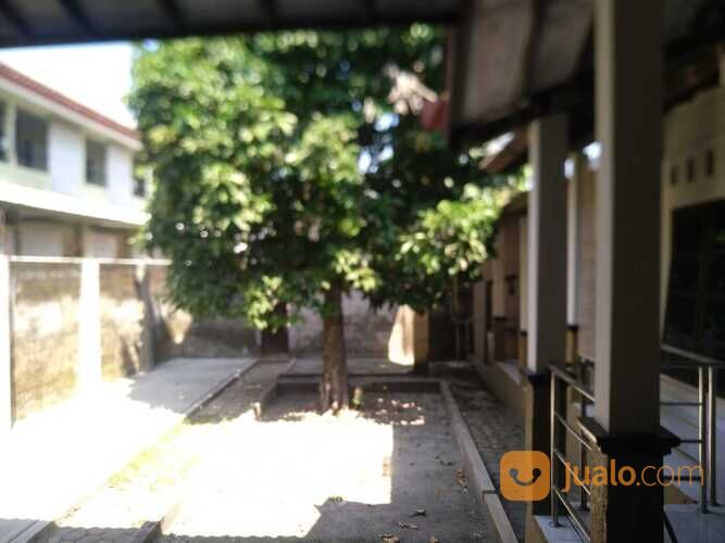 Rumah Besar dan Luas Dekat Kampus UAD 4 Jogjakarta(KODE DR.815) di Kab ...