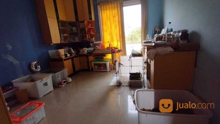 Rumah Villa Mewah Luas di Jalan Raya Permata Gading Jakarta Utara di ...