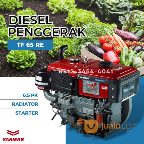 Diesel Solar Yanmar TF 65 RE - Mesin Penggerak 6.5 PK Starter di Kota ...