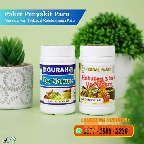 Obat Pneumonia Dewasa dan Anak Anak, Obat Infeksi Paru-Paru, Radang ...