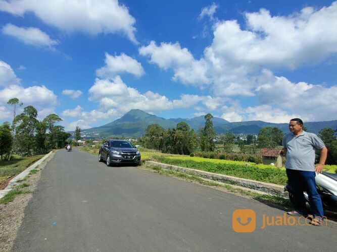 Tanah Luas Super Murah View Gunung Dan Sawah Di Jalan Metro Batu di ...