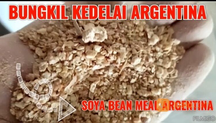 SBM - Soya bean meal - argentina - BKK - Bungkil kedelai - murah ...