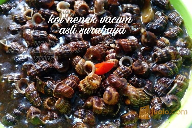 Kol Nenek Kul Nenek Kerang Nenek Kul Emak Asli Surabaya Siap Saji Kirim ...