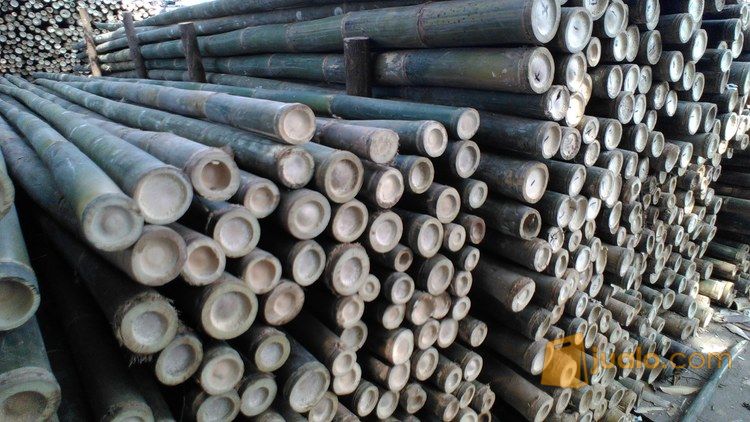 bambu steger panjang 6 meter diameter 7-8-9-10cm di Kota Jakarta Utara ...