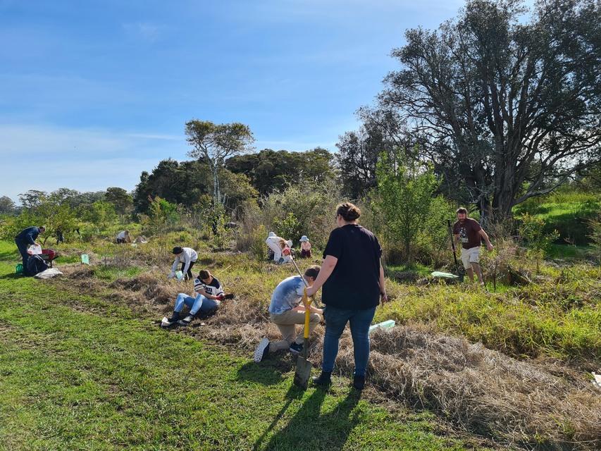 National Tree Day 2024 Wetland Tree Planting - Business Event By ...