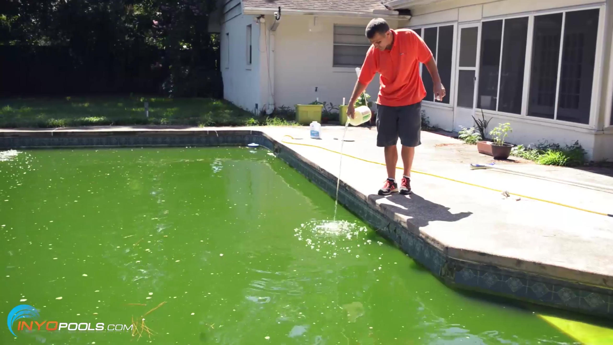 How to Clean a Green Pool? - DIY Pool Resources - INYOPools.com