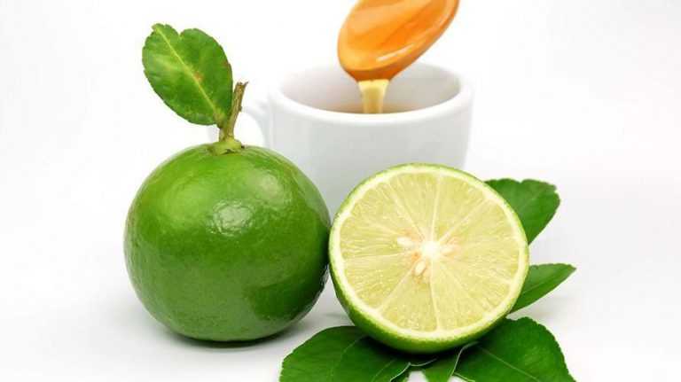 4 Manfaat Madu dan Jeruk Nipis, Sudah Terbukti secara Ilmiah 4 Manfaat Madu dan Jeruk Nipis, Sudah Terbukti secara Ilmiah