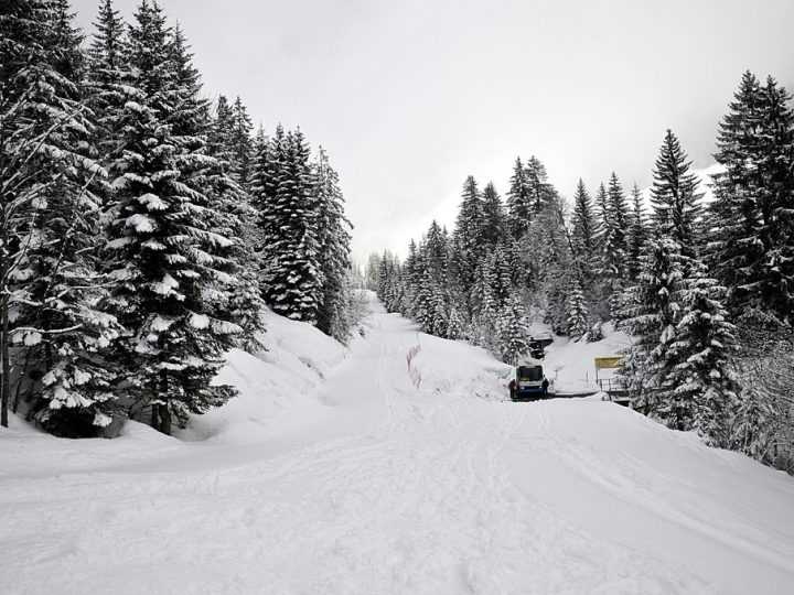 Seperti di Luar Negeri, Ini 4 Wisata Salju di Indonesia!