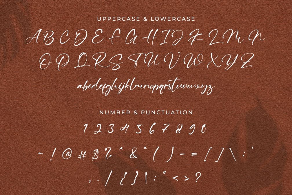 Ving Winston - Signature Font - StringLabs