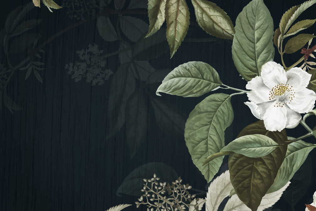 Best AI Image Generator for Line Art You Need to Try - StringLabs