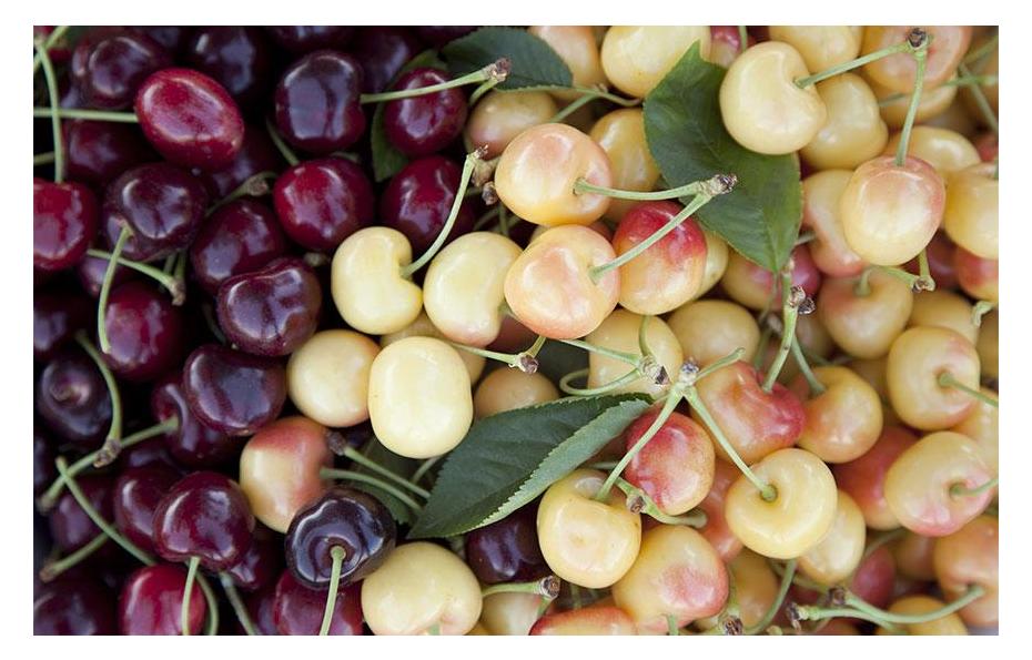 Cherries and Your Health