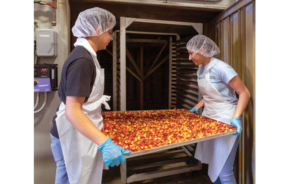 Chukar Cherries Dehydrates Record-Breaking 2025 Northwest Cherry Crop