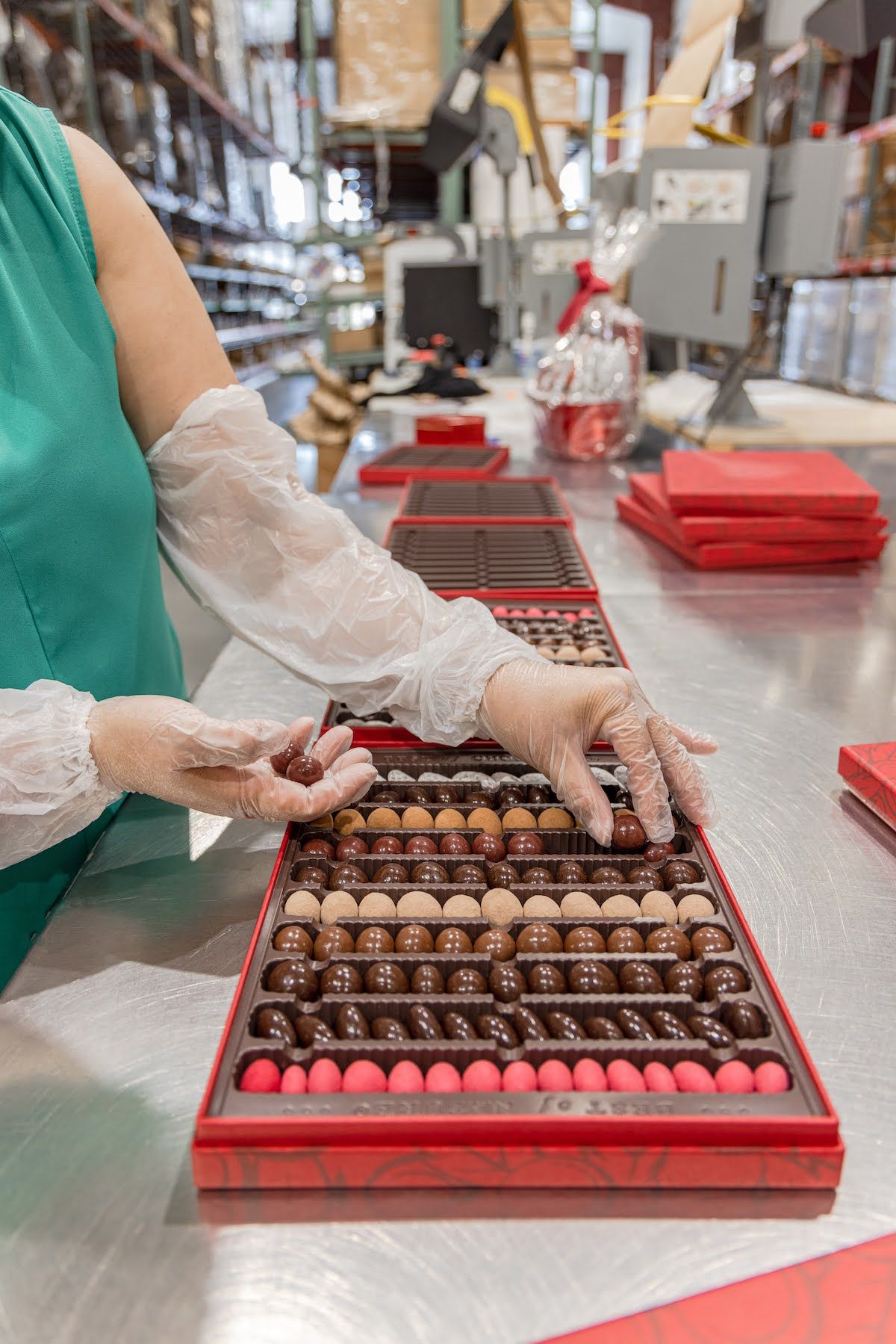 The Life of a Chukar Chocolate Cherry
