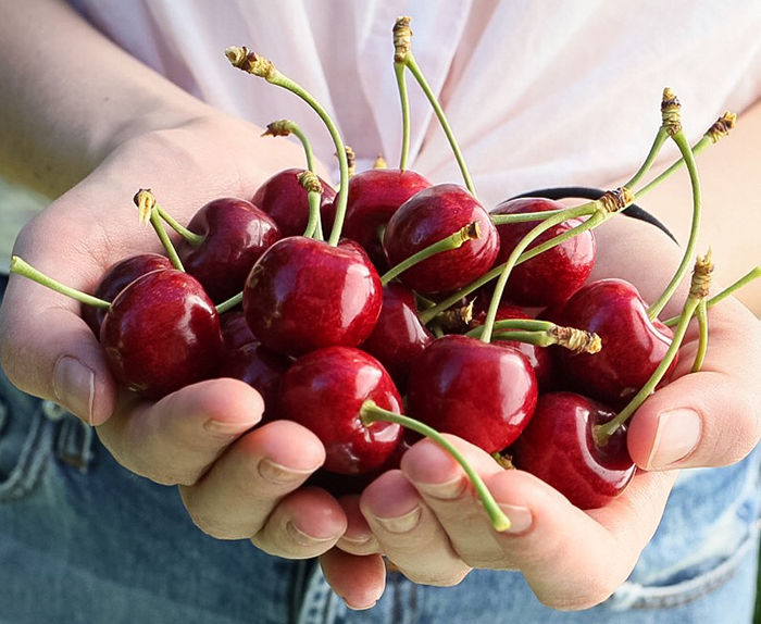 5 Ways Sweet Northwest Cherries Power a Summer Glow Up 5 Ways Sweet ...