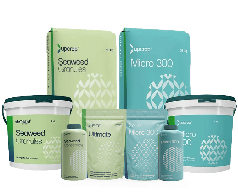 Biotechnology Company| agriculture fertilizer | Trishul BioTech