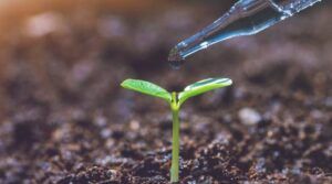 What is biotechnology in agriculture? | Trishul Biotech