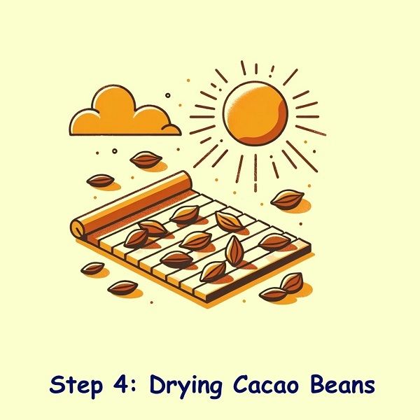 10 Steps to Making Chocolate: A Step-By-Step Guide