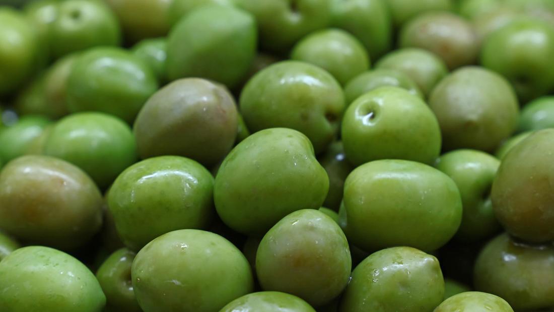 15 Types of Olive: Key Differences in Color and Taste