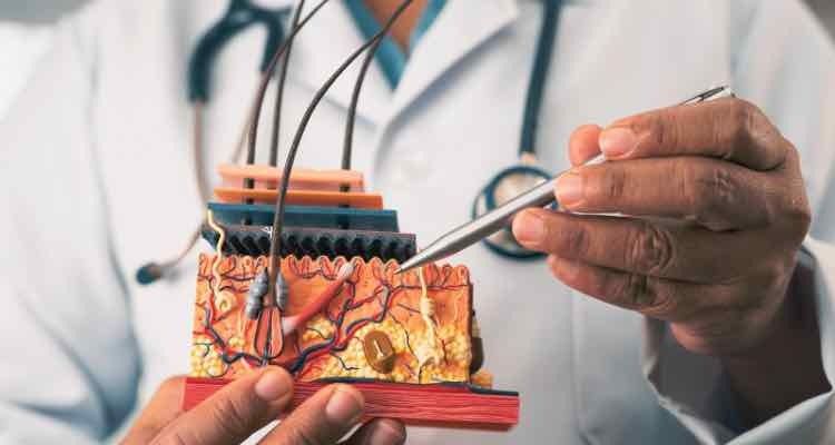 Anatomy of Hair Follicles: How Laser Light Interacts with the Hair ...