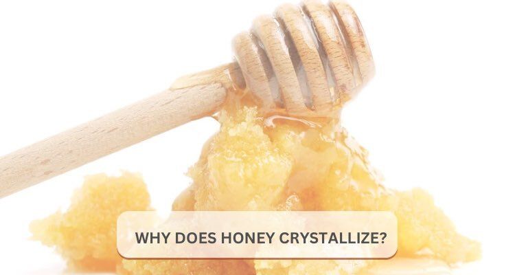 Why Does Honey Crystallize? And How to Store Honey?