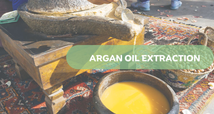 Argan Oil Extraction: Between Tradition and Modernity