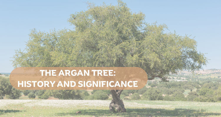 The History & Significance of the Argan Tree | ClinicAdvisor®