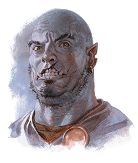 Hrabbaz | Characters | Waterdeep: Dragon Heist | Critical Notes