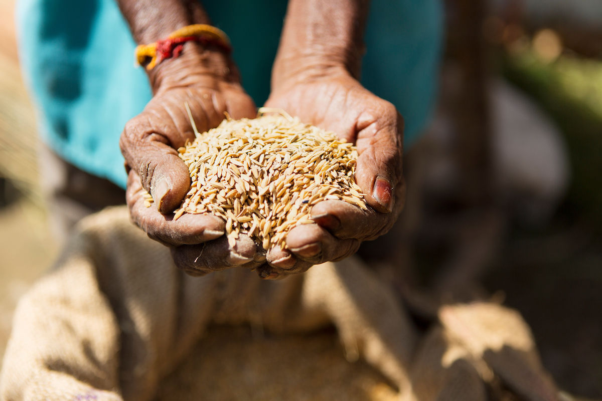 Successful Stewardship in Sustainable Agriculture | CropLife