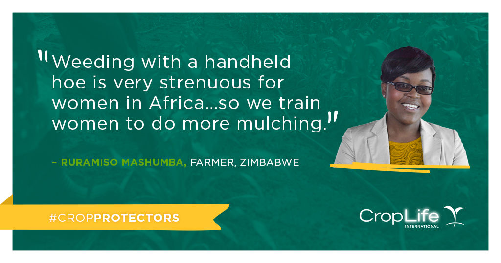 Female #FoodHeroes: Ruramiso Mashumba - CropLife International
