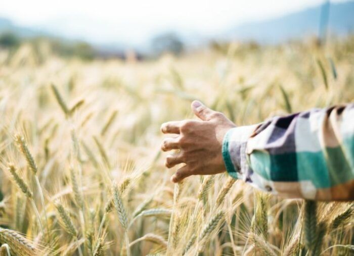 International Code of Conduct on Pesticide Management - CropLife ...