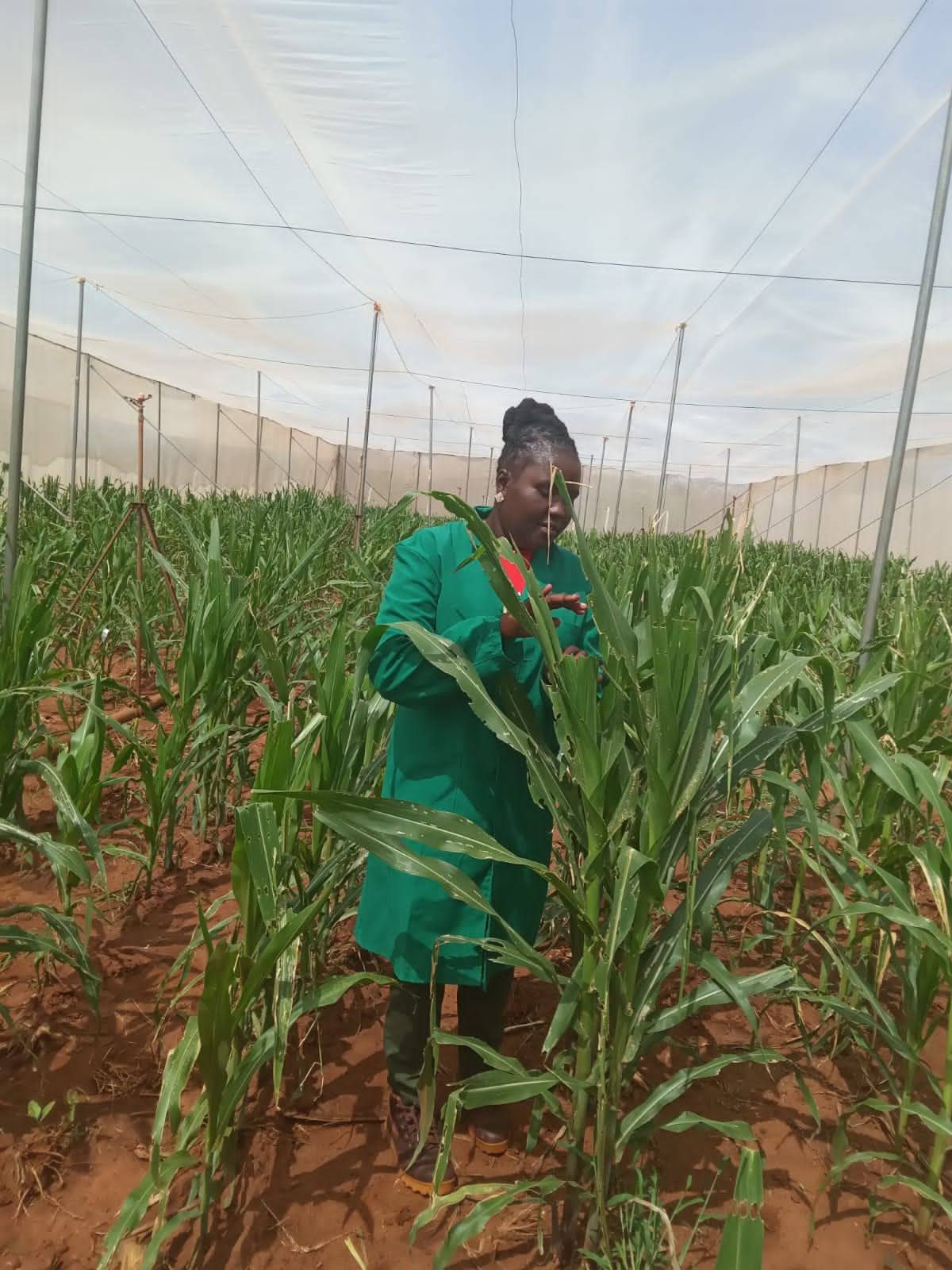 Lillian Noela Wesonga - CropLife International : CropLife International