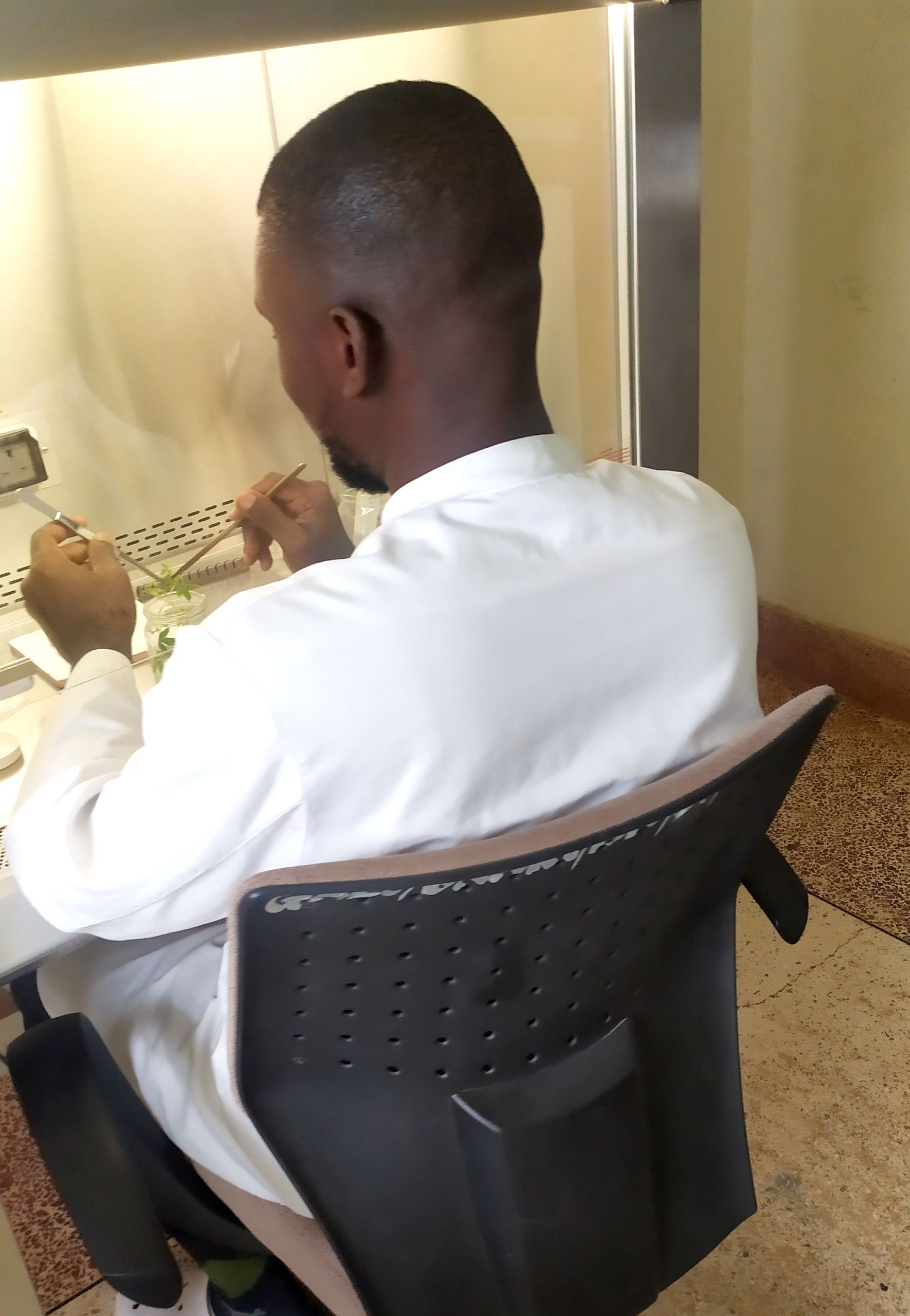 Dennis Baffour-Awuah - CropLife International