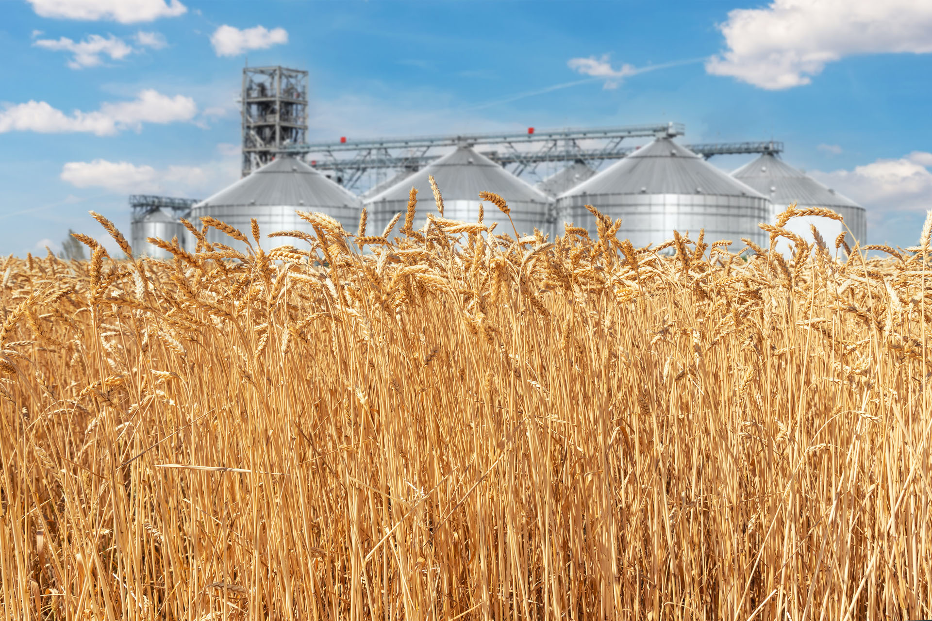 Market access and transparency stewardship for plant breeding ...