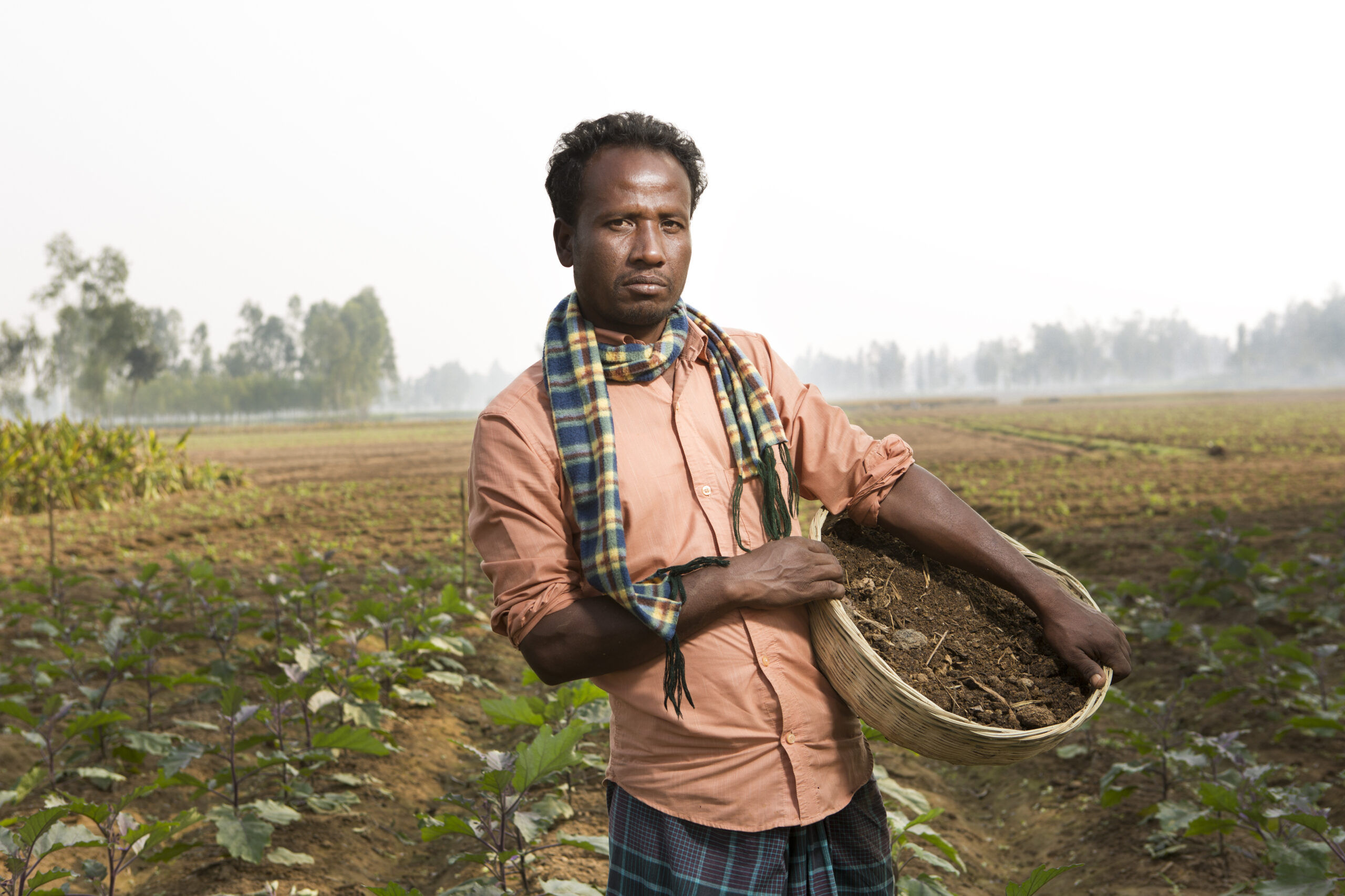 Brinjal in Bangladesh - CropLife International : CropLife International