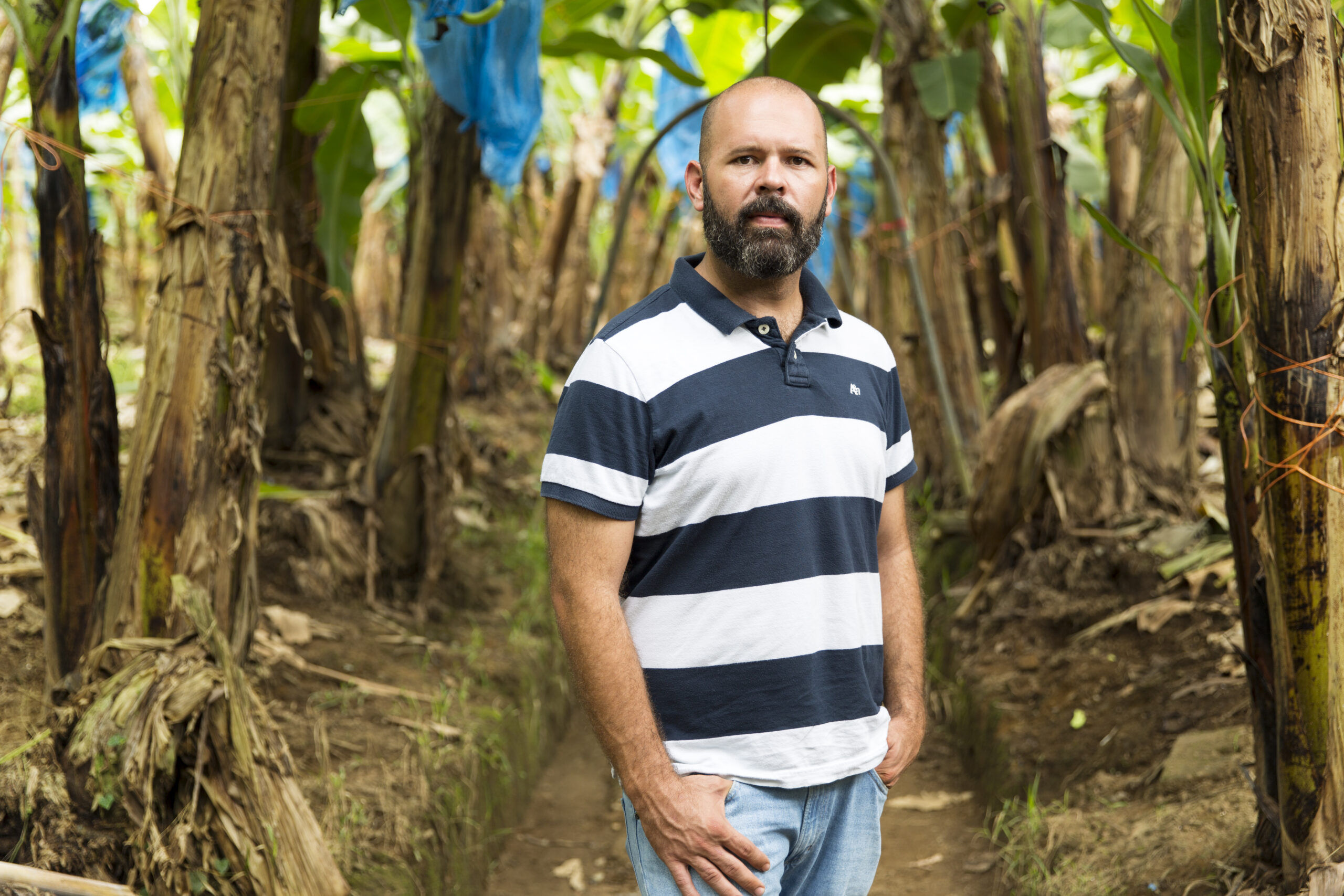 Bananas in Costa Rica - CropLife International
