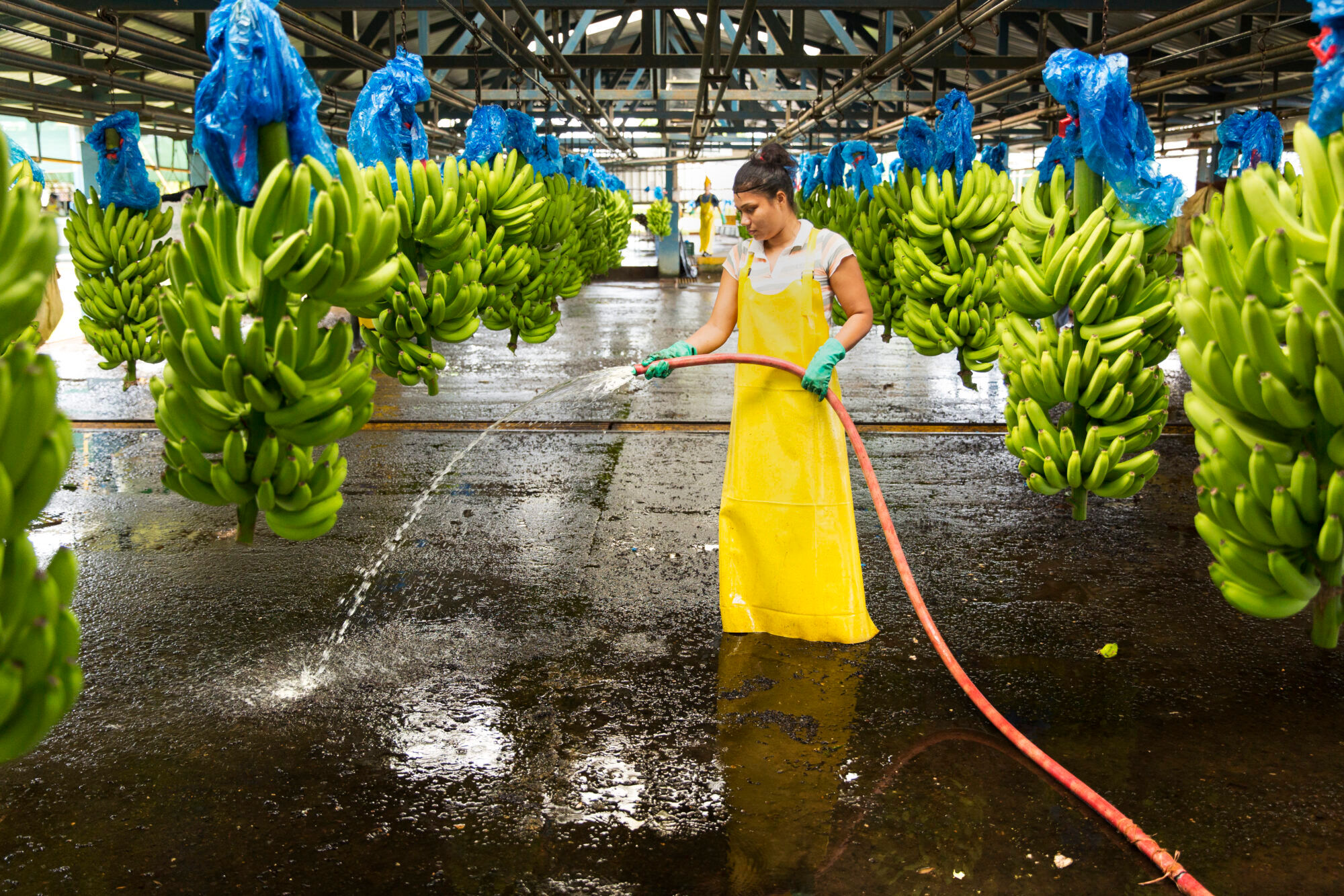 Good Agricultural Practices - CropLife International : CropLife ...