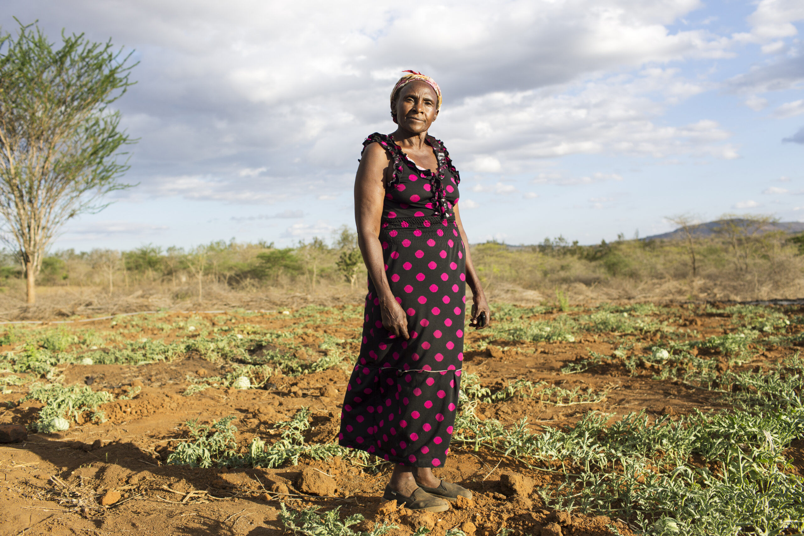 Sorghum in Kenya - CropLife International : CropLife International