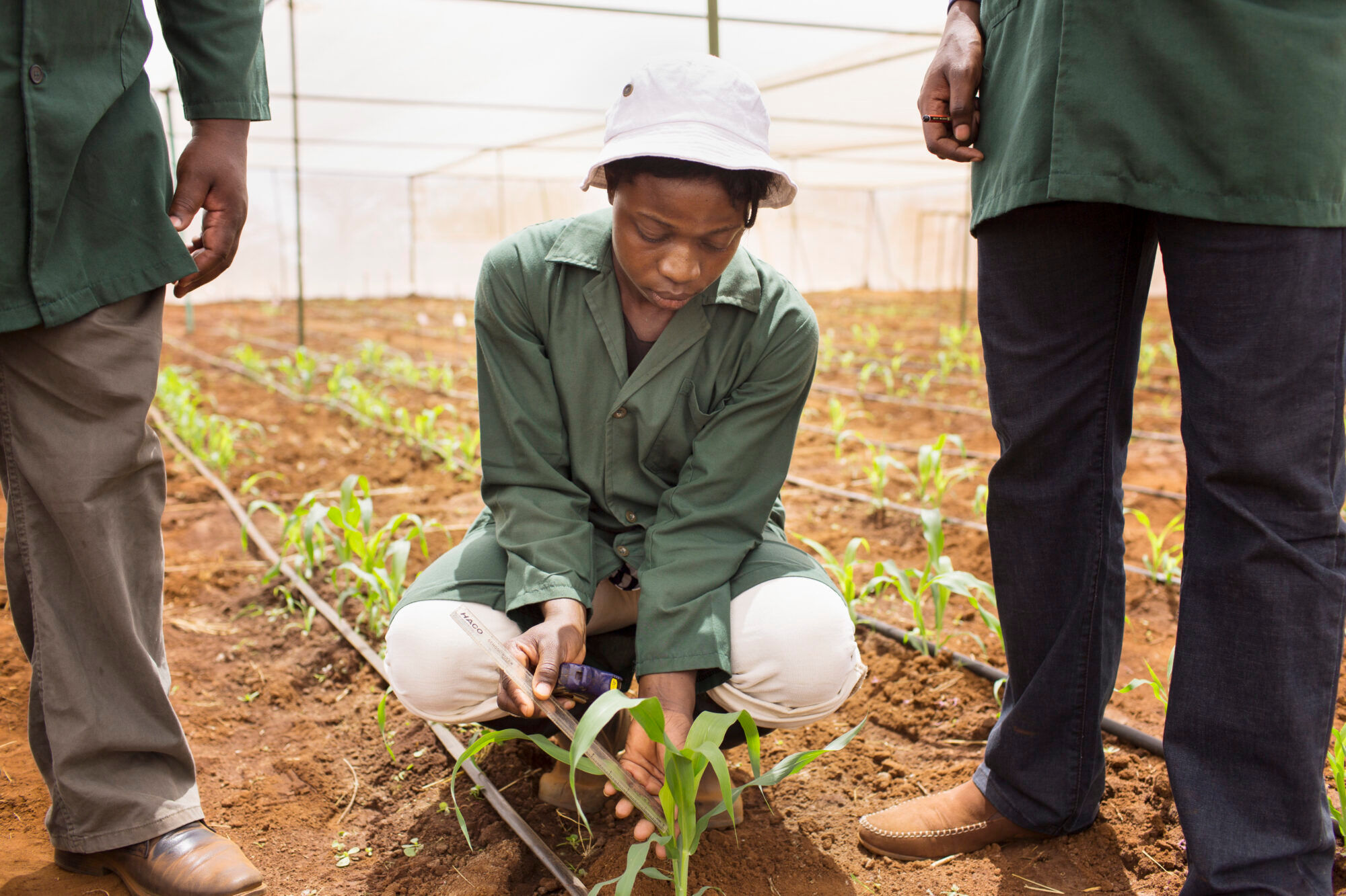 Our Agricultural Engagement | CropLife International