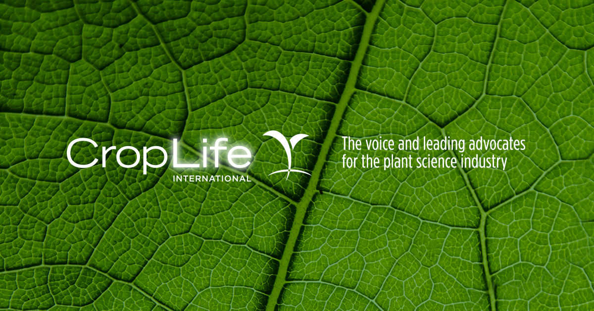 Our Work - CropLife International : CropLife International Our Work - CropLife International : CropLife International