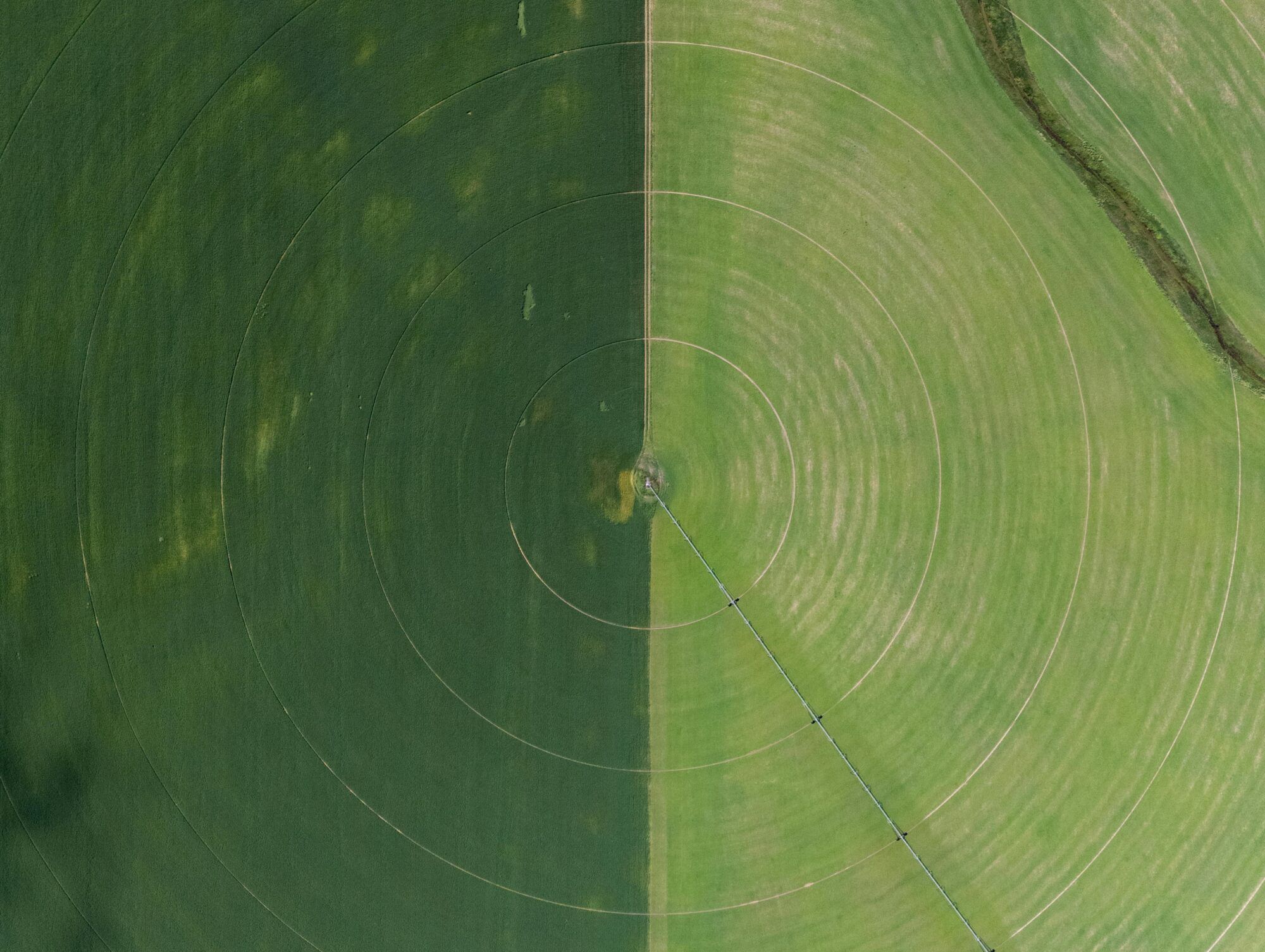 Nature Positive Agriculture and Sustainable Food Systems