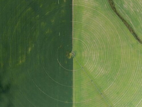 Nature Positive Agriculture and Sustainable Food Systems