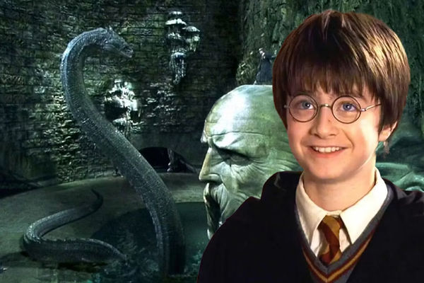 Unveiling the Secrets of Parseltongue: Can it truly be Mastered?