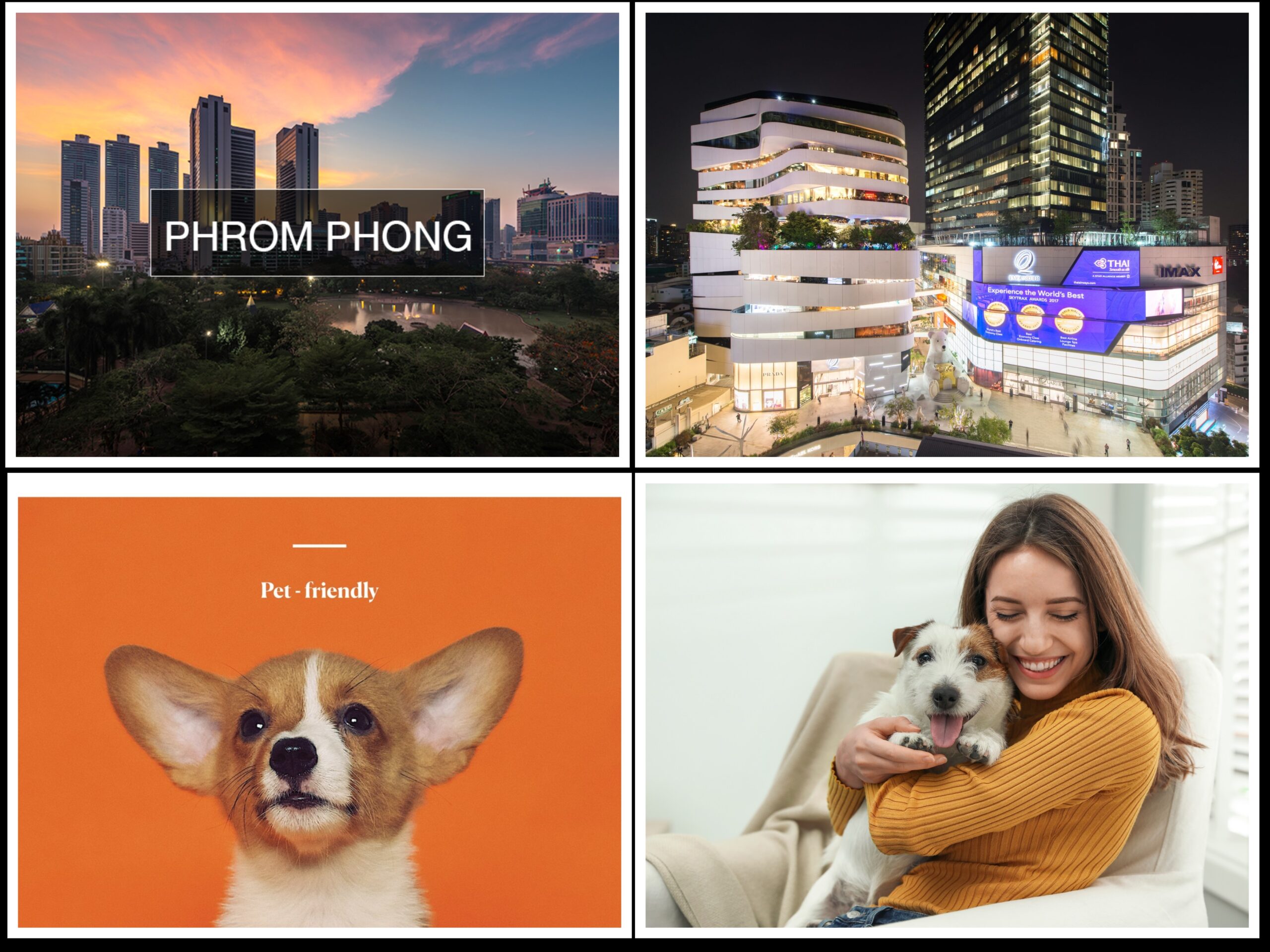 Pet-Friendly Condos in Phrom Phong | Amazing Properties