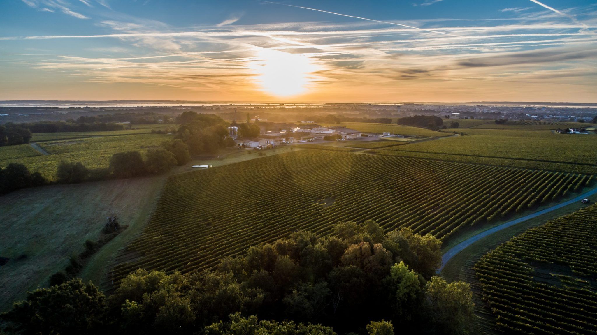 How to taste cognac | a step-by-step guide by Martell