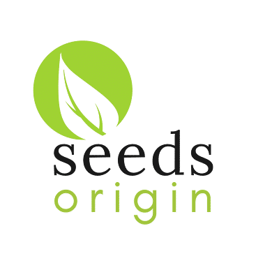 Seeds Origin - Healthy Food Cafe Kuala Lumpur - Restaurants and Food - Food