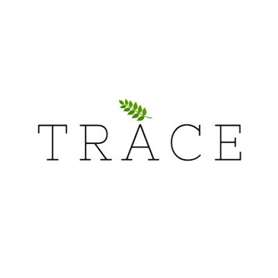 TRACE Restaurant and Bar - Element by Westin Kuala Lumpur - Restaurants ...