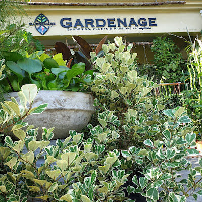 Gardenage - Restaurants and Food - Food