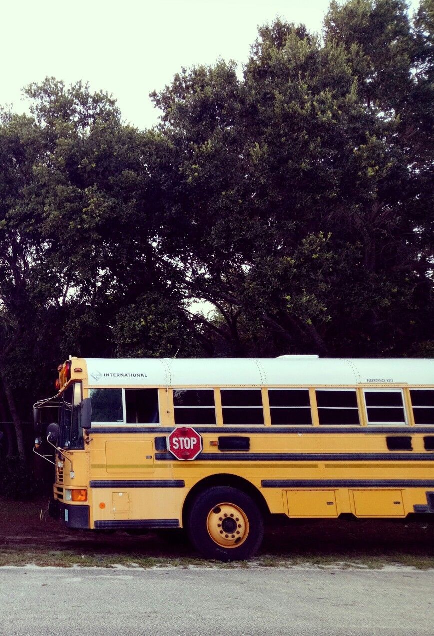 2002 FE Amtran Schoolbus with A/C. Dt466 Motor. @ Buses for sale